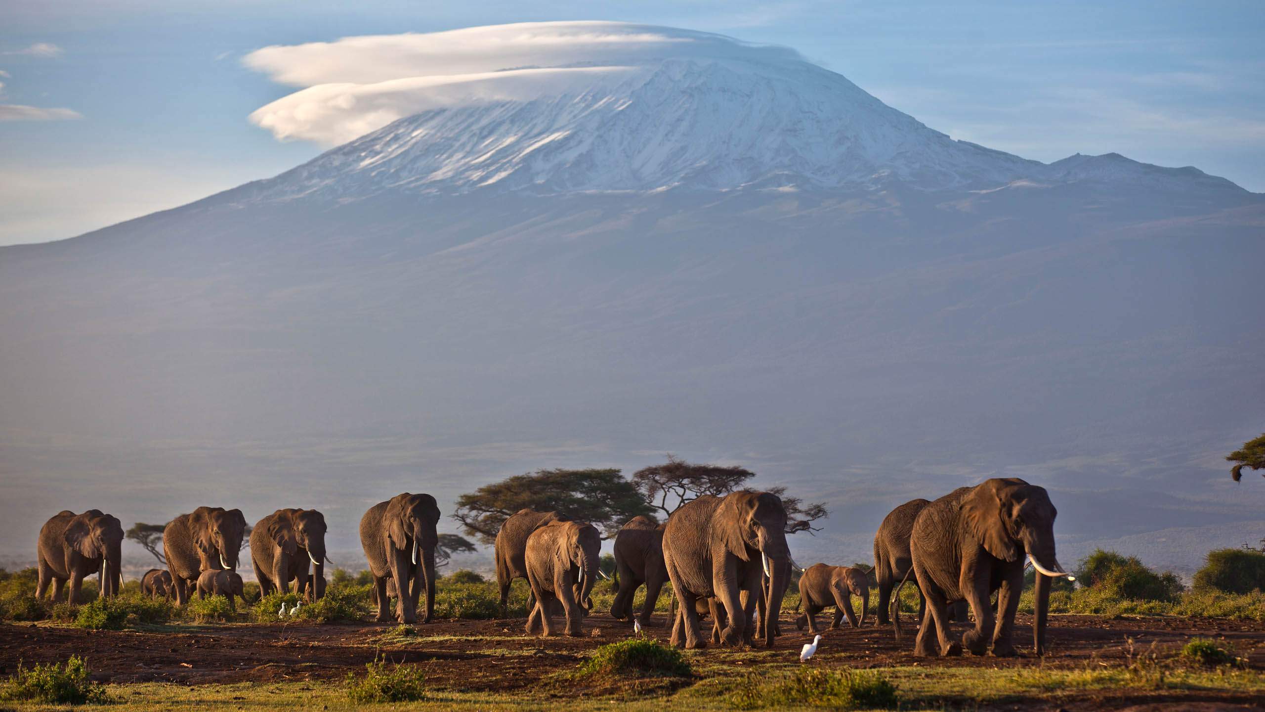 Kenya's Loisaba Conservancy: Under African skies