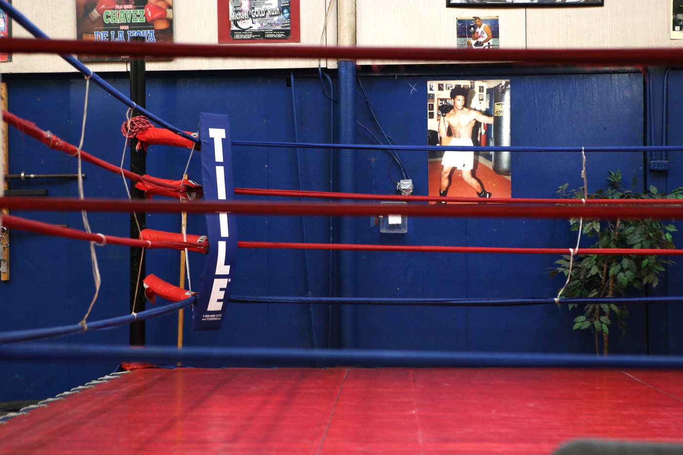 The fast rise and slow fade of boxer O'Neil 'Supernova' Bell