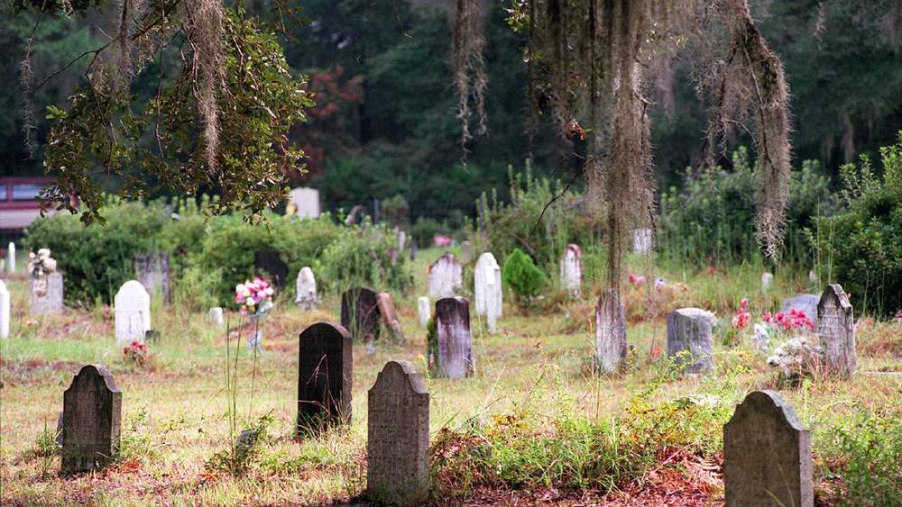 Geechee community endures on Sapelo Island, but just barely