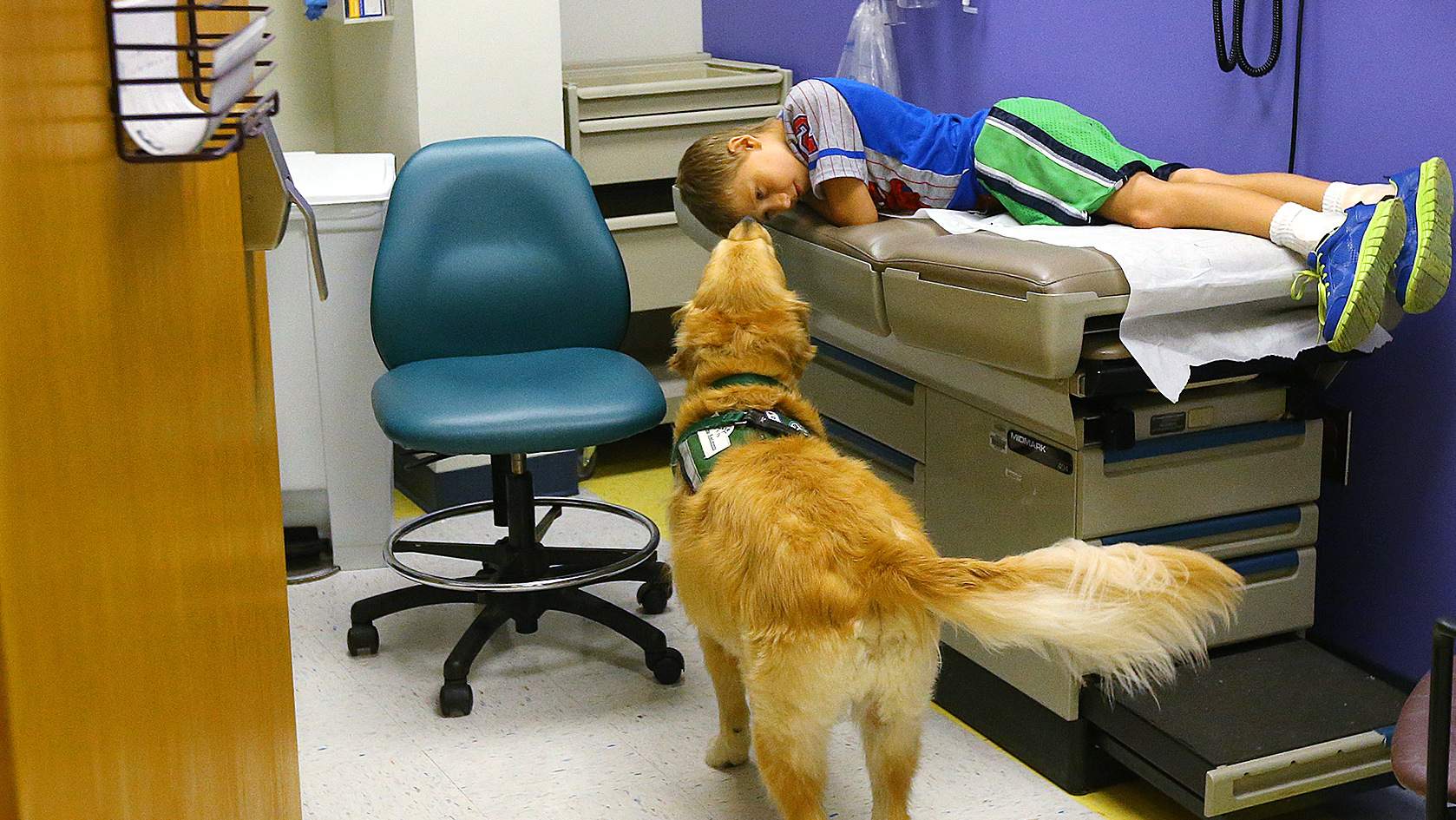Uno the therapy dog