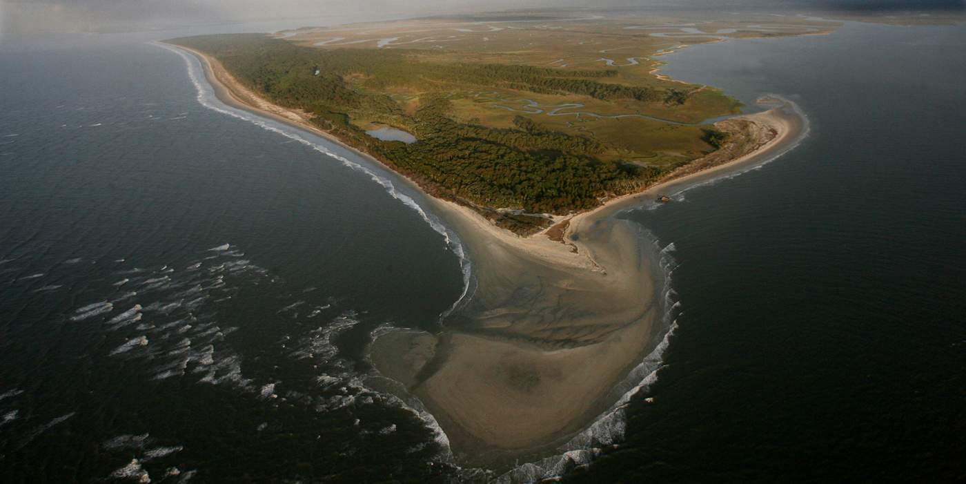 Deserted Wassaw Island boasts old-growth forest, solitary beauty